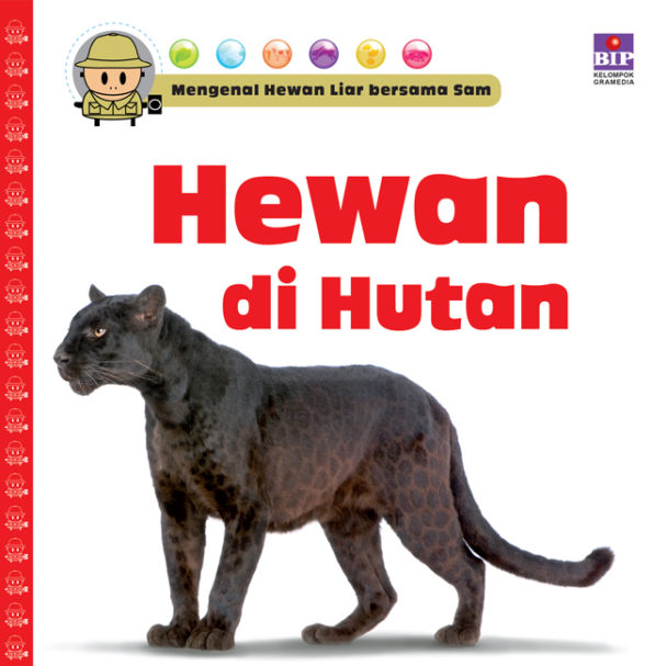 Mengenal Apa Itu Kucing Hutan dan Jenis-Jenisnya di Indonesia