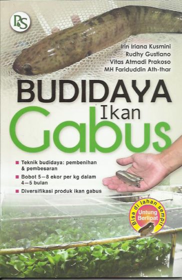 Ikan Red Devil Adalah Ikan yang Ganas, Berikut Fakta Uniknya!