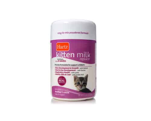 15 Rekomendasi Susu untuk Bayi Kucing Terbaik dan Terjangkau!