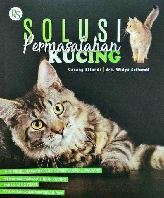 20+ Arti Mimpi Kucing, Ternyata Ada Banyak Maknanya - Gramedia