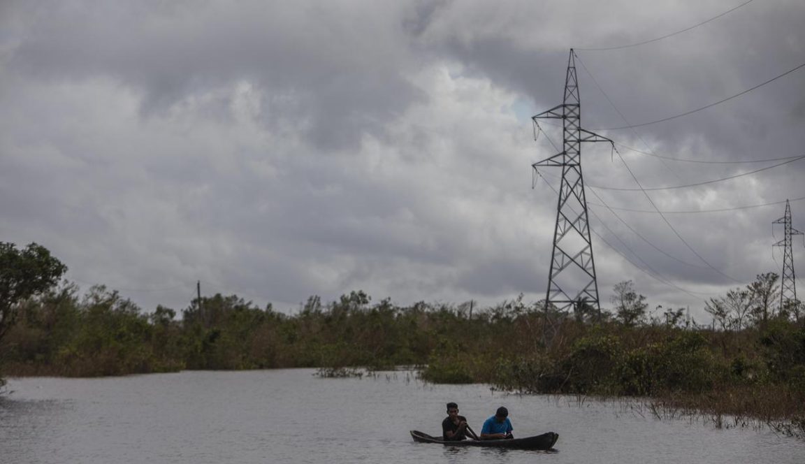 Ikan Red Devil Adalah Ikan yang Ganas, Berikut Fakta Uniknya!