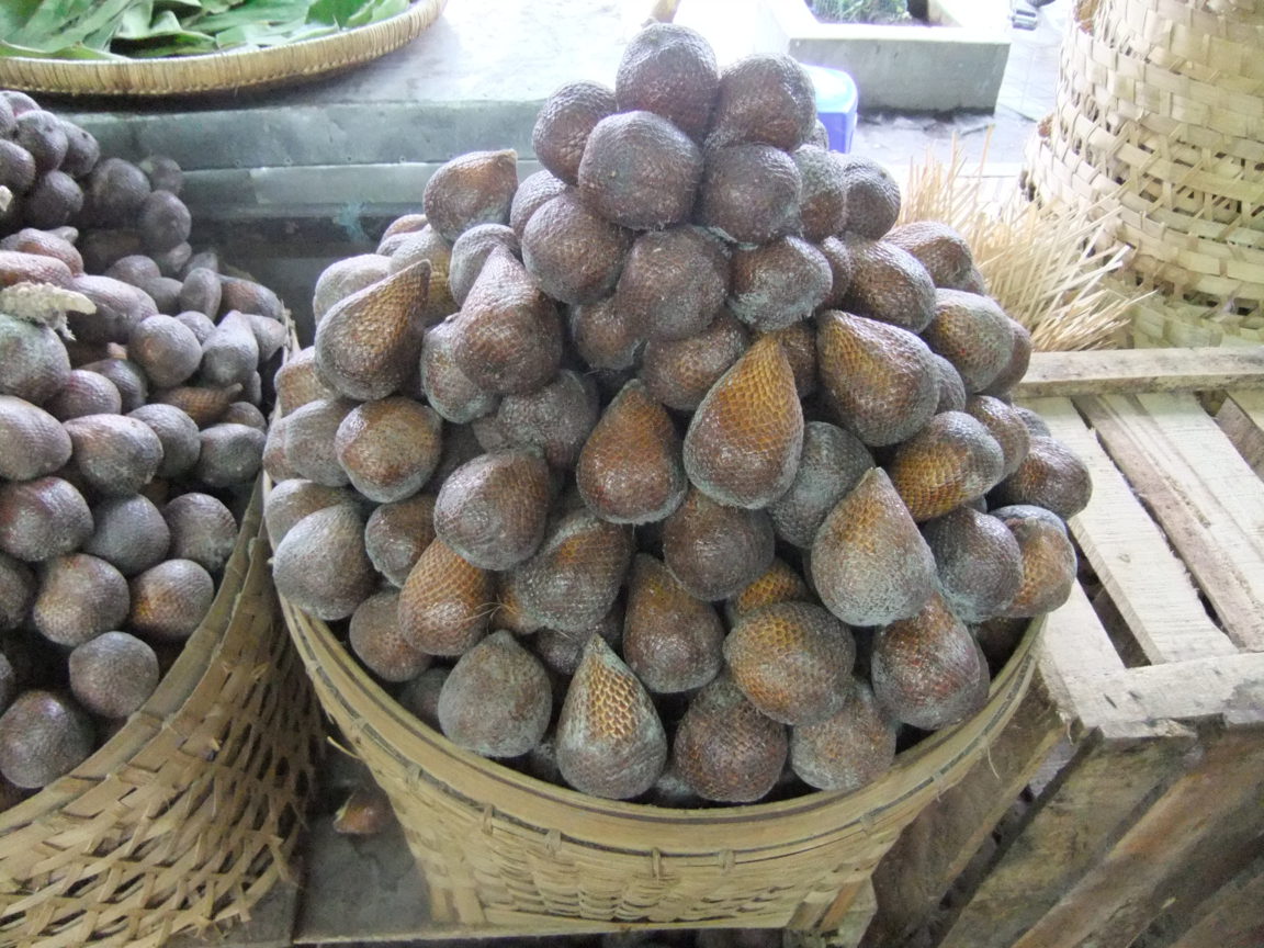 7 Manfaat Salak untuk Ibu Hamil serta Kandungan Gizi di Dalamnya!