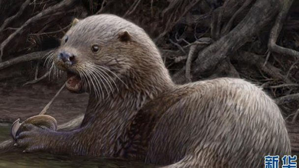 Mengenal Berang berang Raksasa, Spesies yang Dianggap Sudah Punah