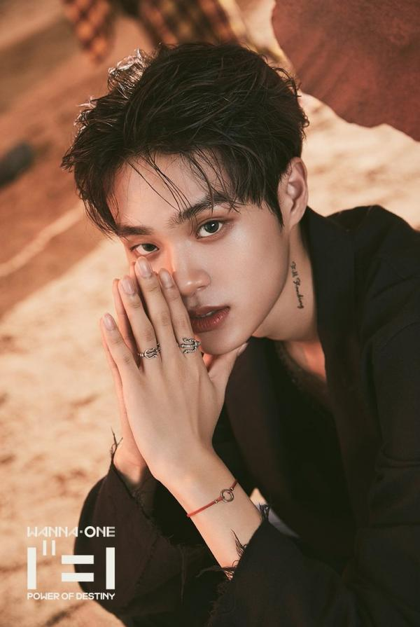 Profil 11 Member Wanna One serta Fakta Boyband Fenomenal Ini!