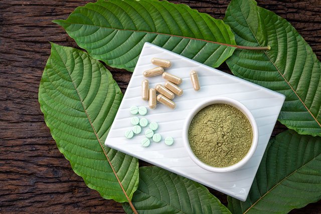 10+ Manfaat Daun Kratom dan Efek Sampingnya untuk Tubuh