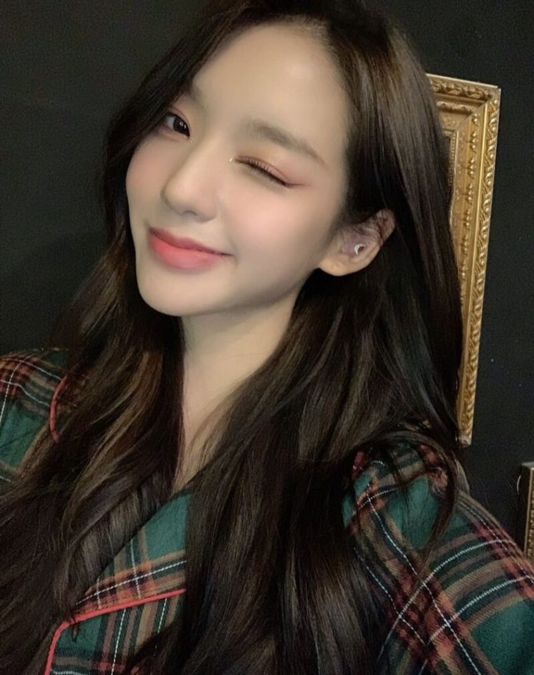 Profil Soodam Secret Number, Visual Multitalenta di Grup!