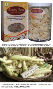 10 Manfaat Umbi Garut Bagi Kesehatan dan Sederet Fakta Menariknya!