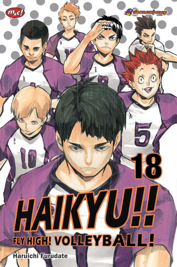 18 Rekomendasi Anime Voli Berdasarkan Tahun Rilisnya