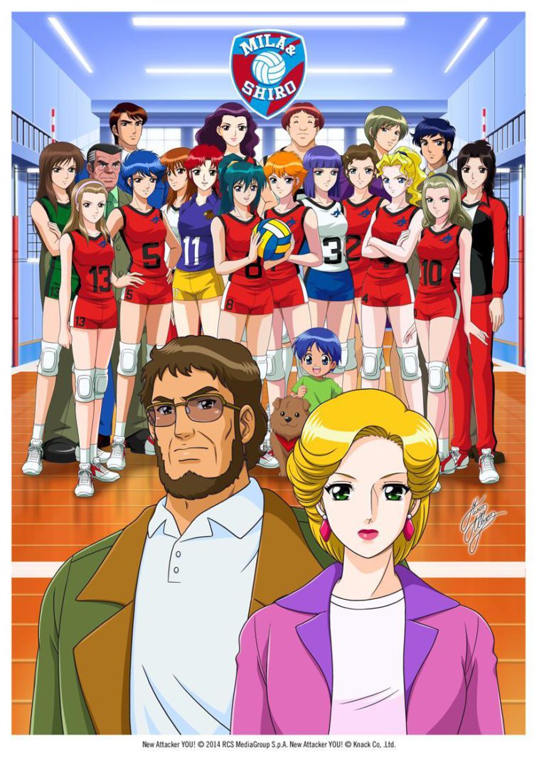 18 Rekomendasi Anime Voli Berdasarkan Tahun Rilisnya