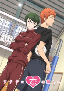 18 Rekomendasi Anime Voli Berdasarkan Tahun Rilisnya