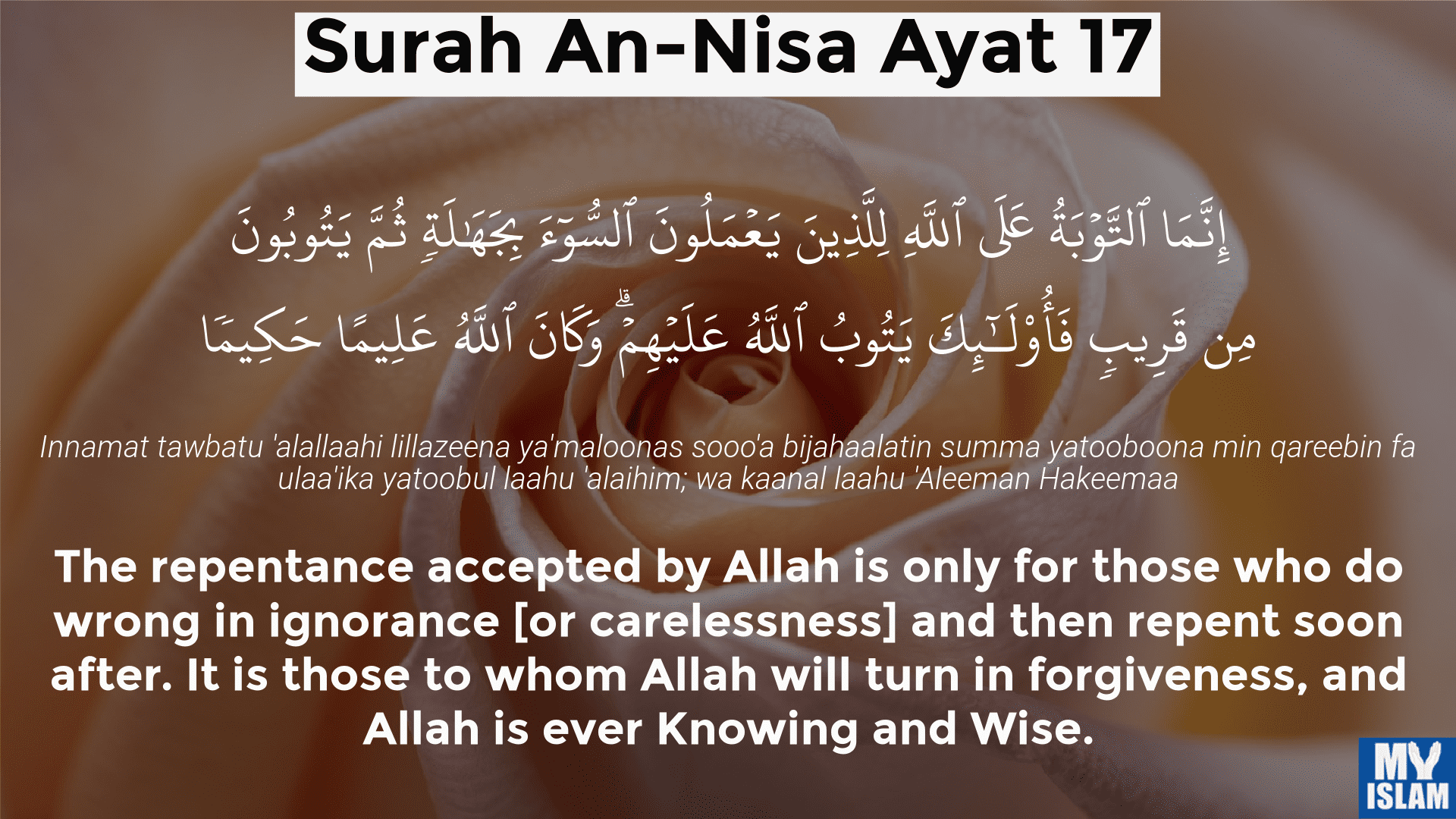 41+ Kata Kata Bijak Islami Yang Membuat Hidupmu Lebih Berkah!