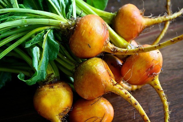 10 Cara Mengolah Buah Bit secara Sederhana - Best Seller Gramedia