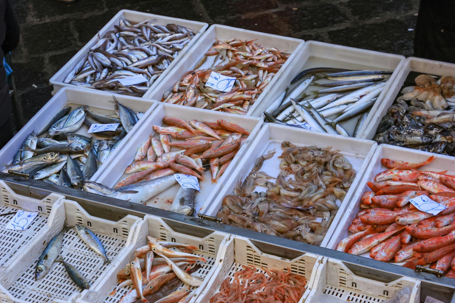 5 Rekomendasi Tempat Makan Seafood di Muara Angke Terfavorit