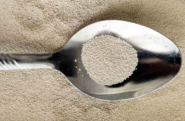 Ragi Terbuat dari Apa? Asal-Usul, Manfaat, dan Rekomendasi Hidangan!